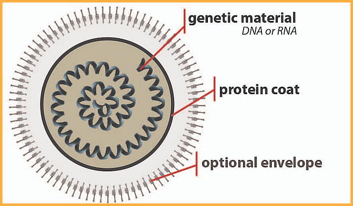 Is a Virus Living or Non-Living? Yes. Part 1