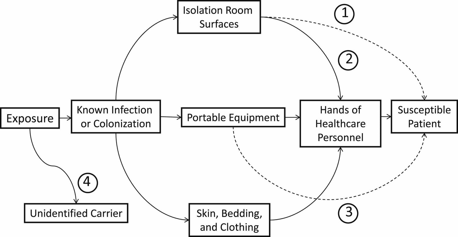 How do Germs Spread?