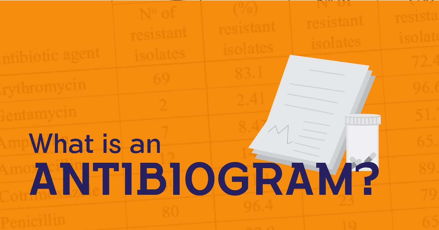 What is an antibiogram?