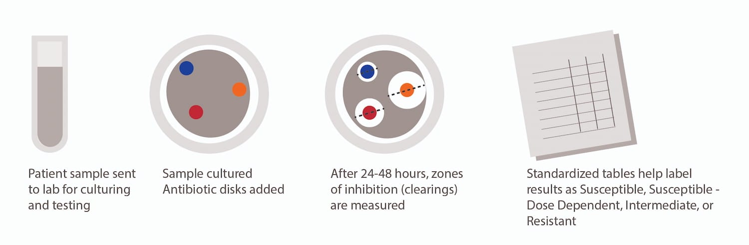What is an antibiogram?