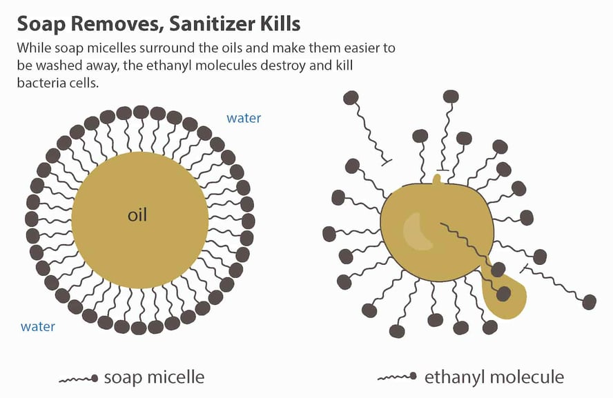 Hands are Surfaces: When Do We Clean and When Do We Sanitize?