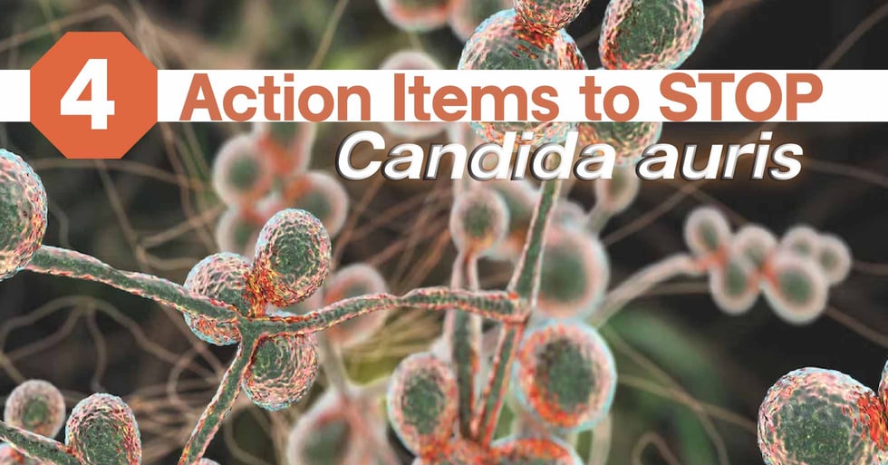 4 Action Items to Stop Candida Auris: What Do We Need Now?