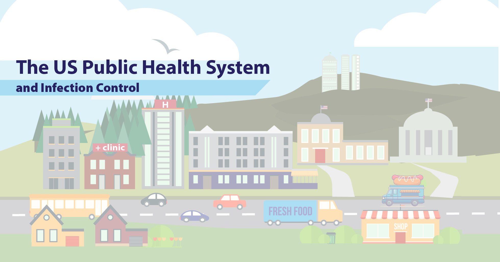 The Public Health System and Infection Control