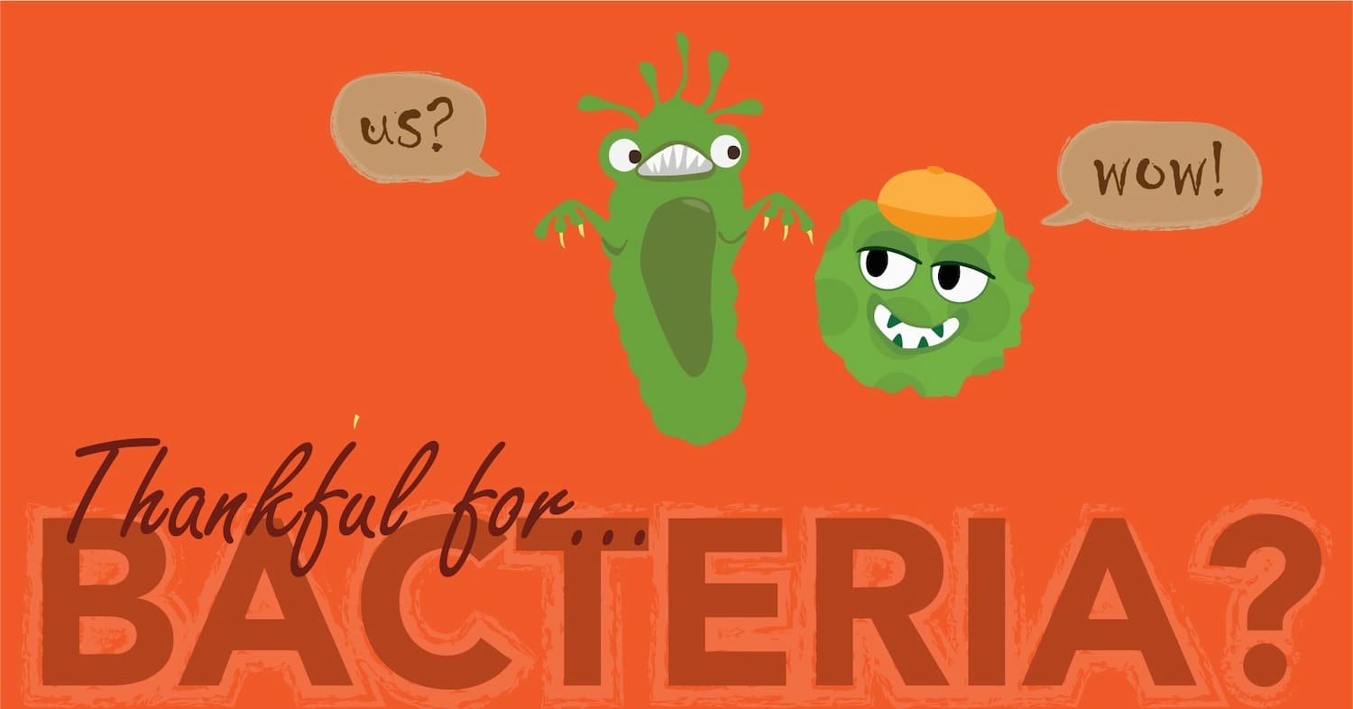 Thankful for... Bacteria?